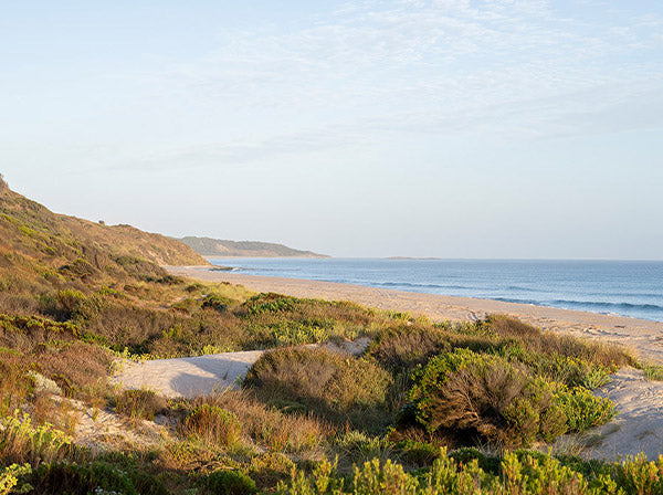 How King Island's Environment Shapes Premium Spirits | King Island ...